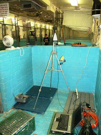 Noise Control Testing and Diagnosis | Spendiarian & Willis Acoustics ...